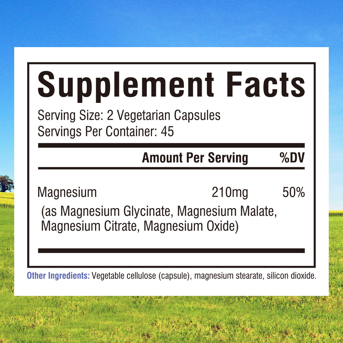 4-In-1 Magnesium Complex | myinnatevitality