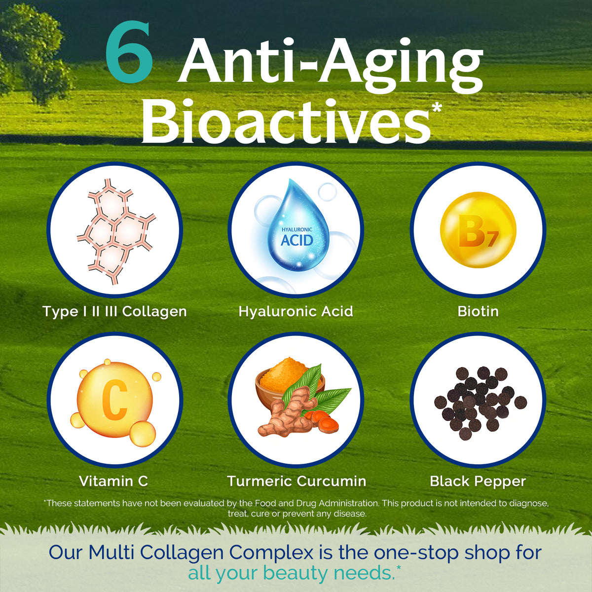 Multi Collagen Complex | myinnatevitality
